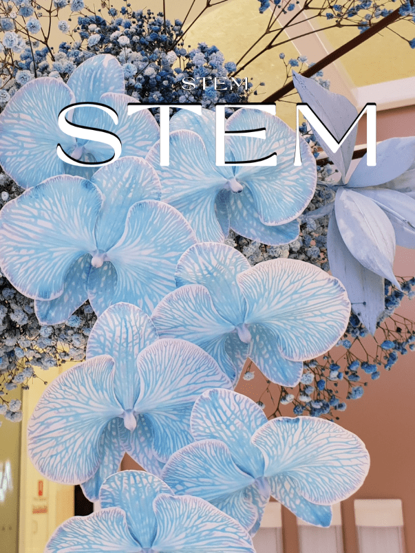 Birthday Venue Ideas and Floral Flourishes | STEM DESIGN