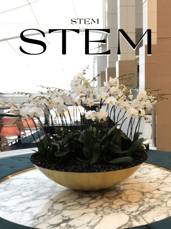 Trends in Corporate Florals | STEM DESIGN | Corporate Flowers