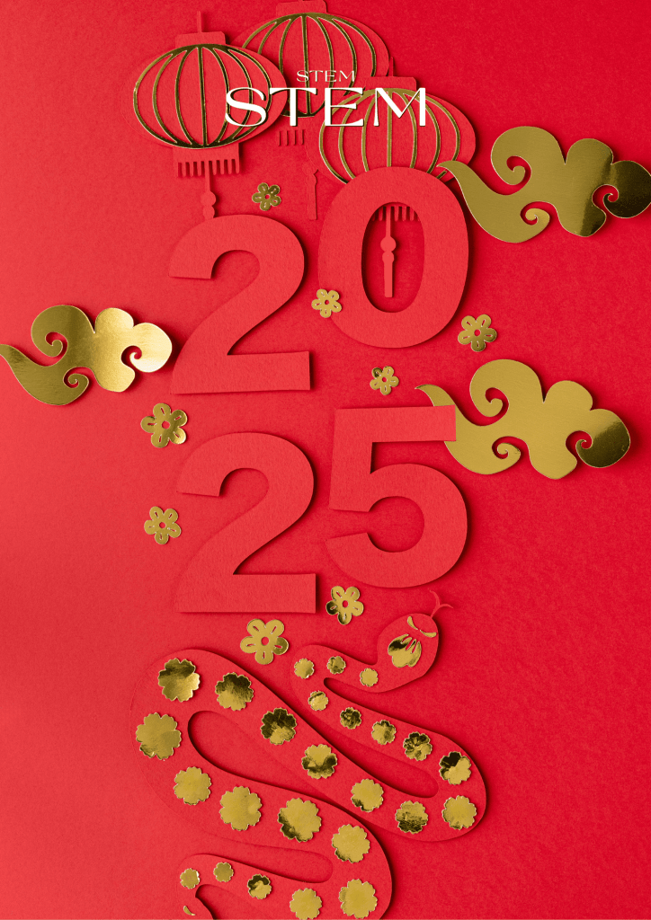Lunar New Year and The Year of The Snake | STEM DESIGN